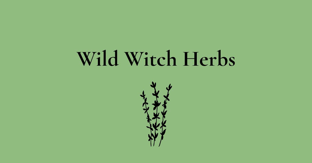Winter Herbal Remedies & Folk Rituals for the Cold Season | Wild Witch ...